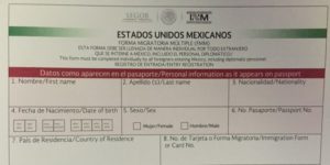 The Most Complete Guide to Mexico's Resident Visas - Mexico Relocation ...