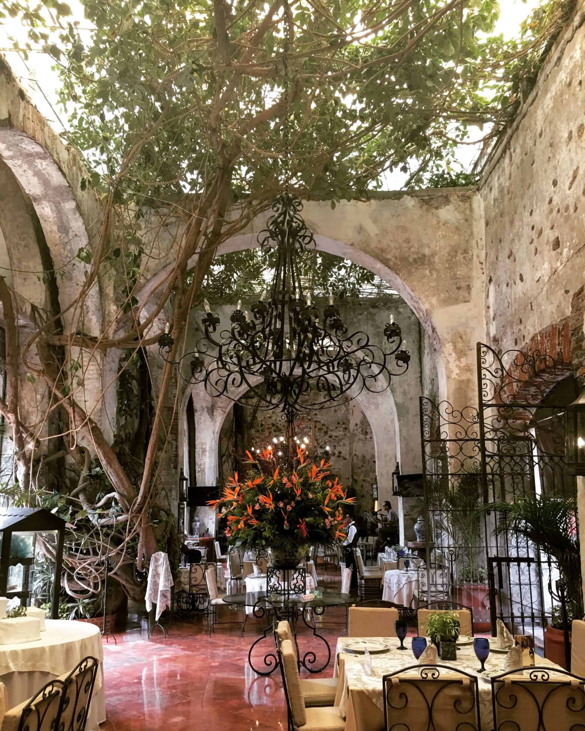 Cuernavaca- Why You'll Fall In Love! - Mexico Relocation Guide