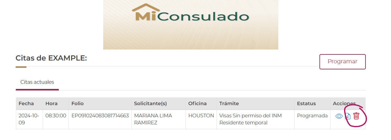 How-To Schedule Mexican Consulate Appointments - Mexico Relocation Guide