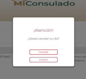 How-To Schedule Mexican Consulate Appointments - Mexico Relocation Guide
