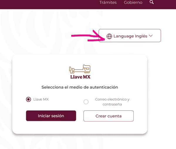 How-To Schedule Mexican Consulate Appointments - Mexico Relocation Guide