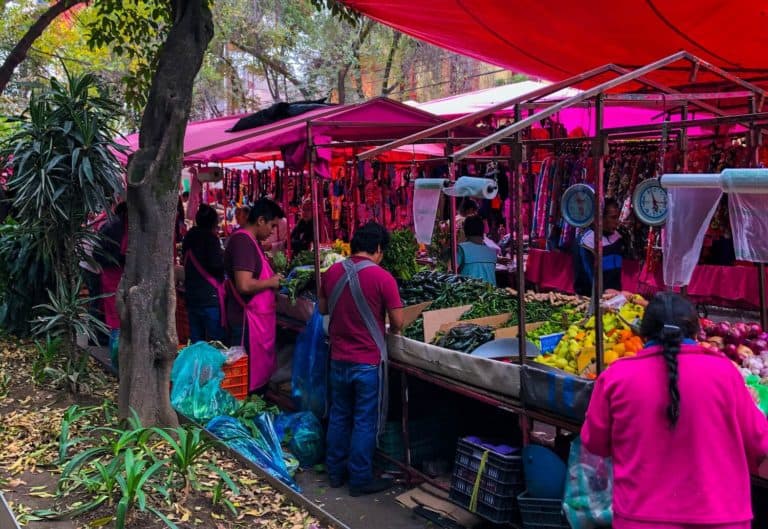 The Ultimate Guide to Grocery Stores in Mexico - Mexico Relocation Guide