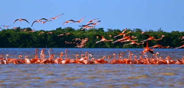 Merida, Mexico- The Ultimate Guide On What Living Here is Truly Like ...